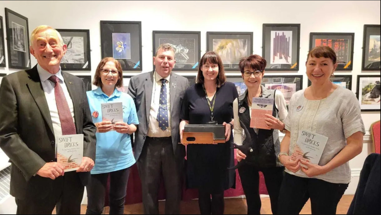 Swift-brick policy adopted by Bury Council - BirdGuides