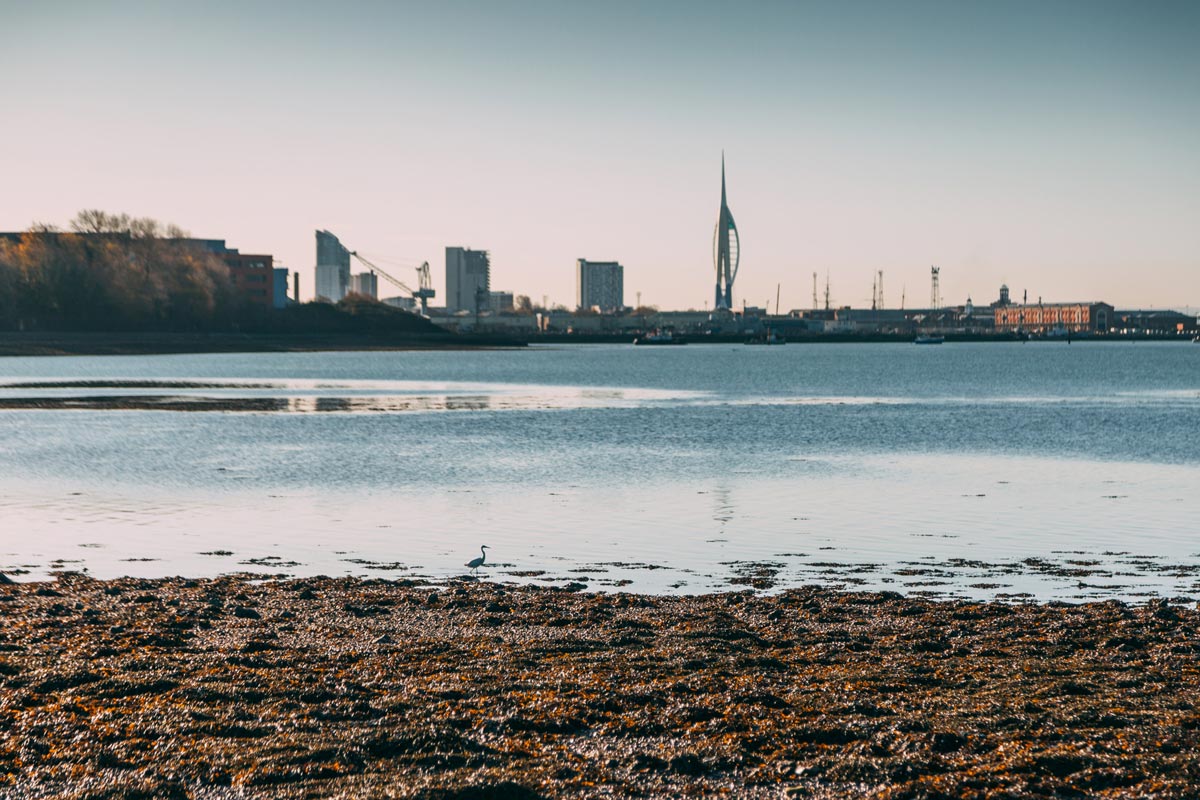 Hampshire saltmarsh under threat from proposed housing development ...