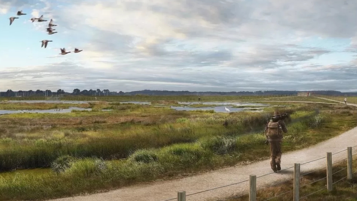 Green light for new RSPB reserve in Dorset - BirdGuides