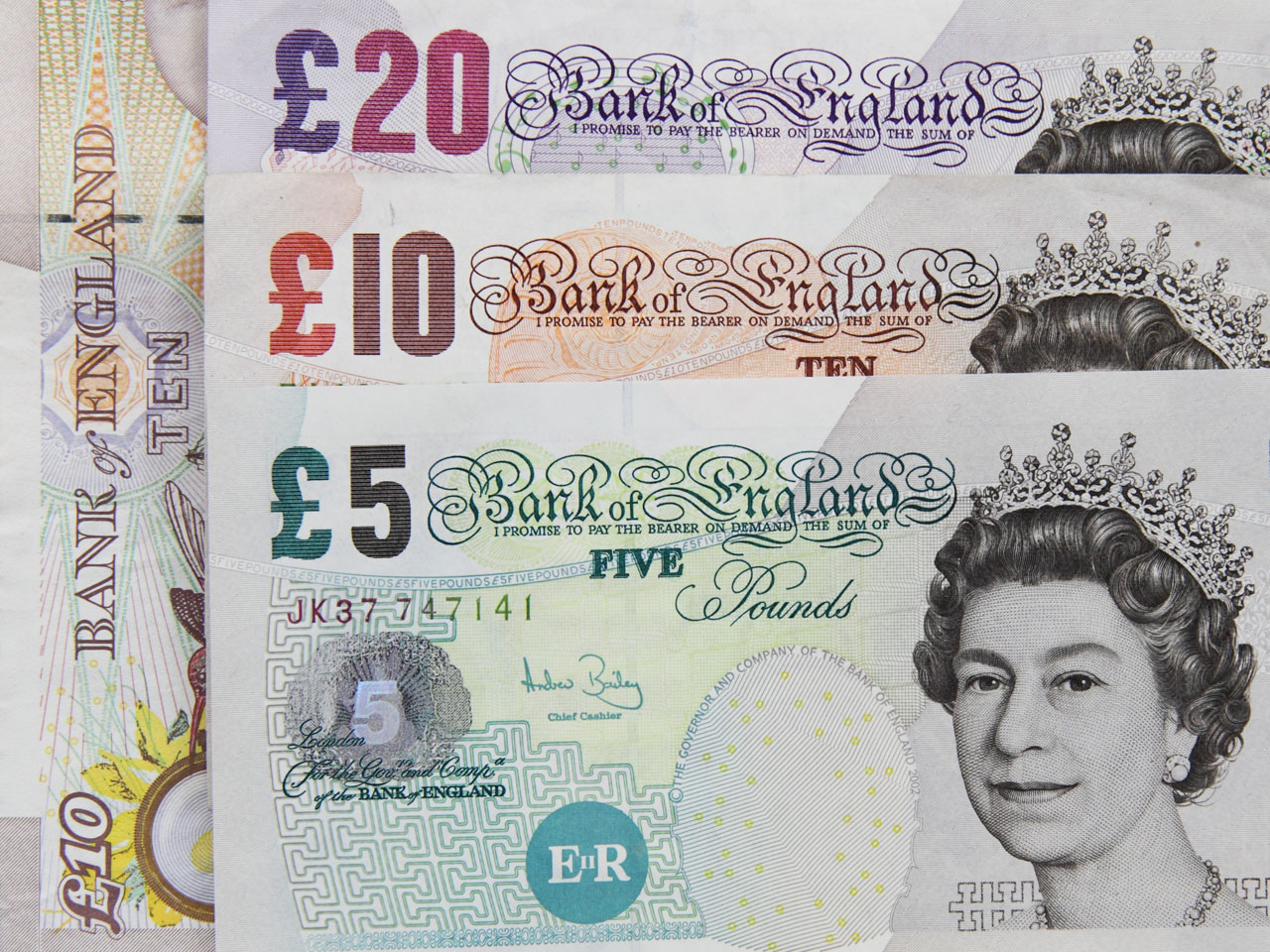 Shortlist revealed for new nature banknotes - BirdGuides