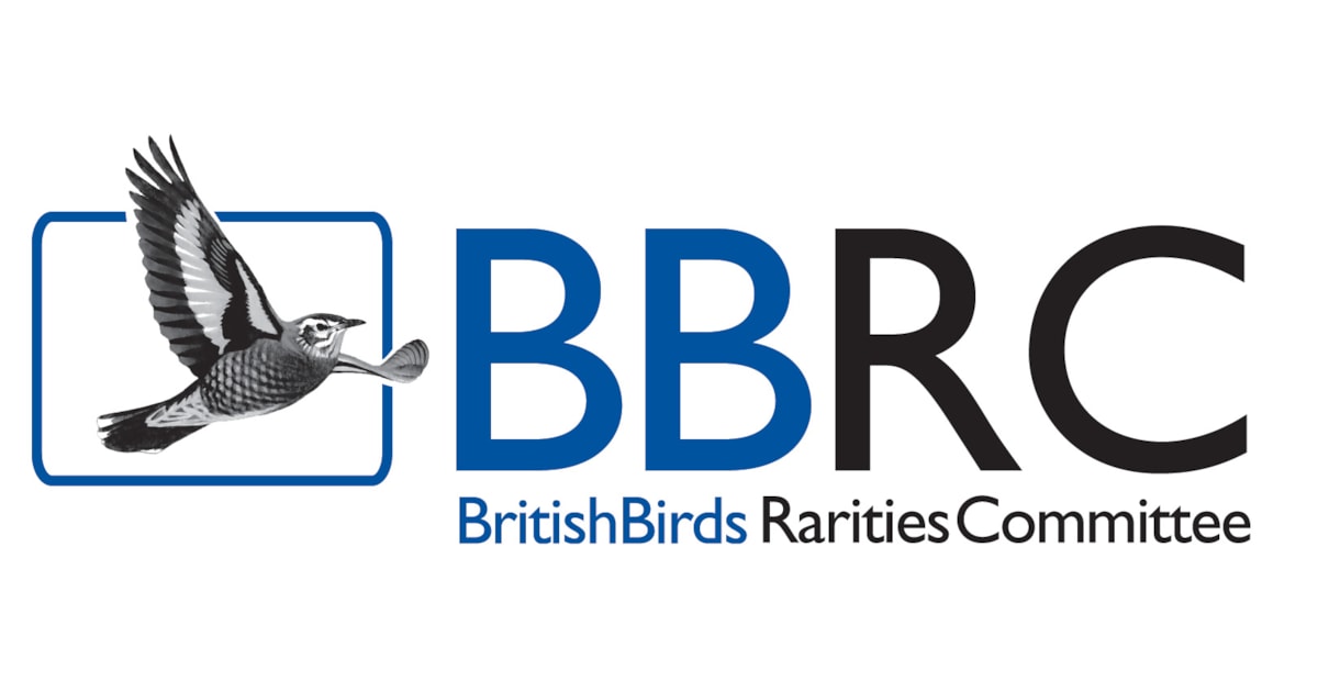 BBRC on the look-out for a new member - BirdGuides