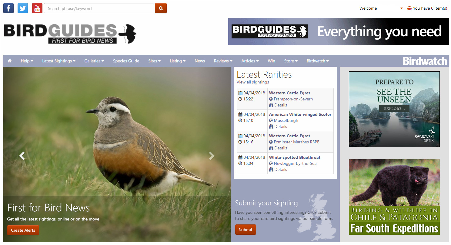 We are hiring! - BirdGuides