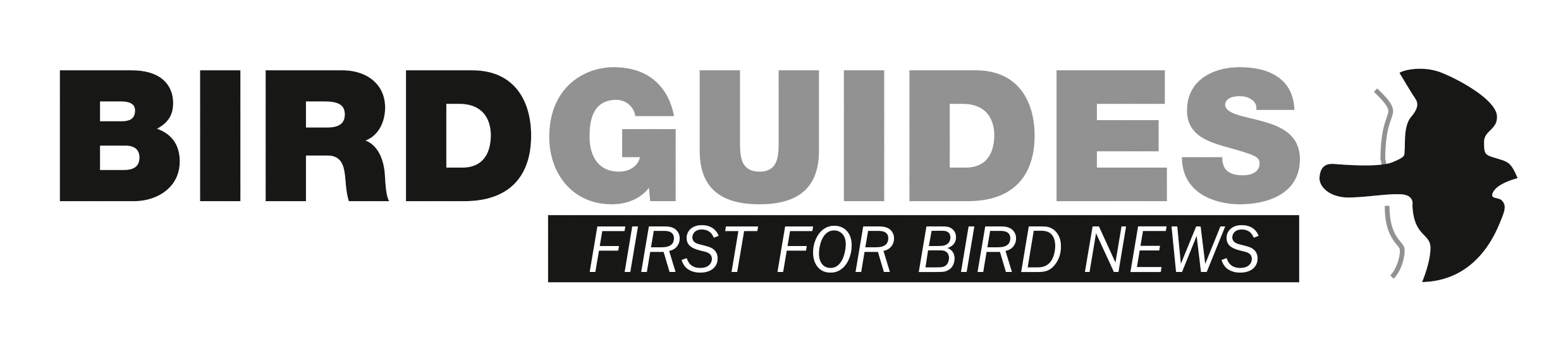 We are recruiting! - BirdGuides