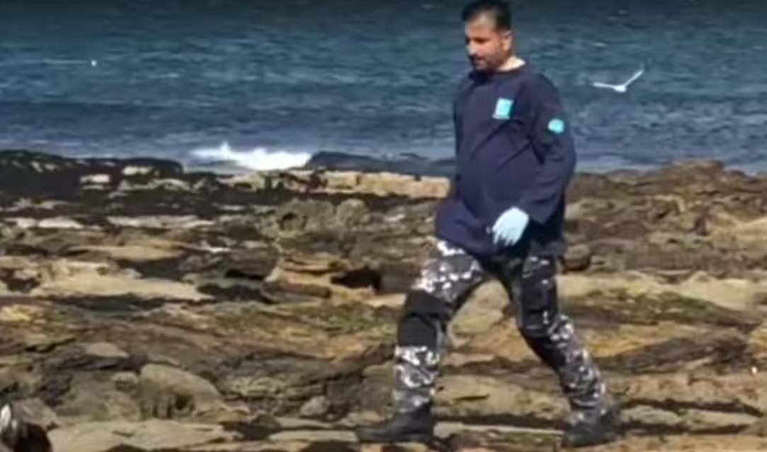 RSPB speaks out following 'rogue' warden footage - BirdGuides