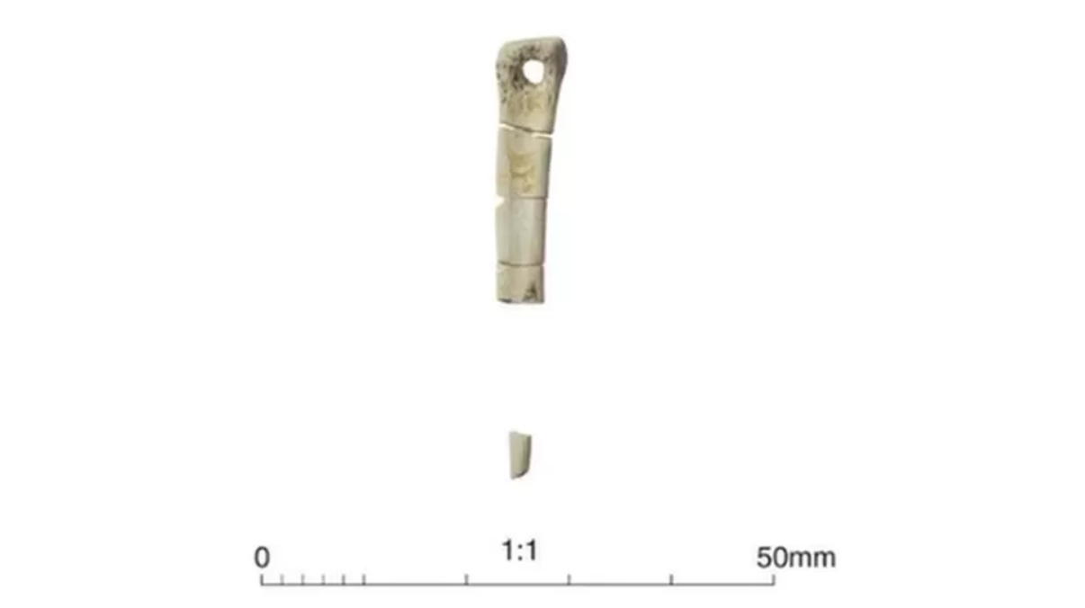 Bronze Age Golden Eagle bone found in Oxfordshire - BirdGuides