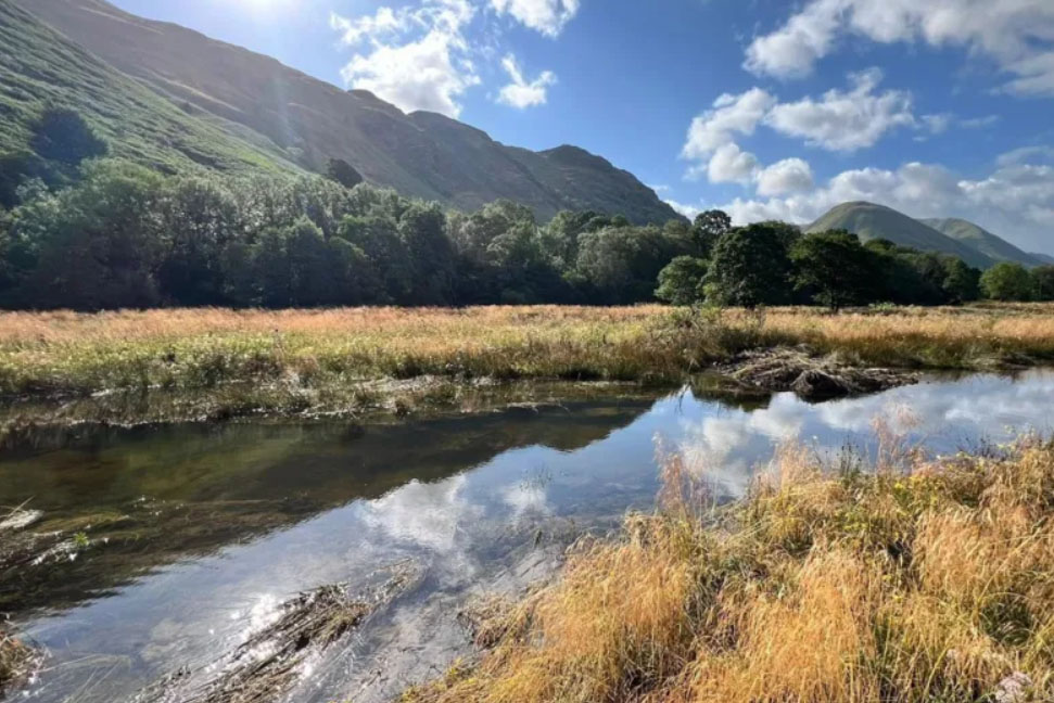 Cumbrian floodplain restoration project completed - BirdGuides