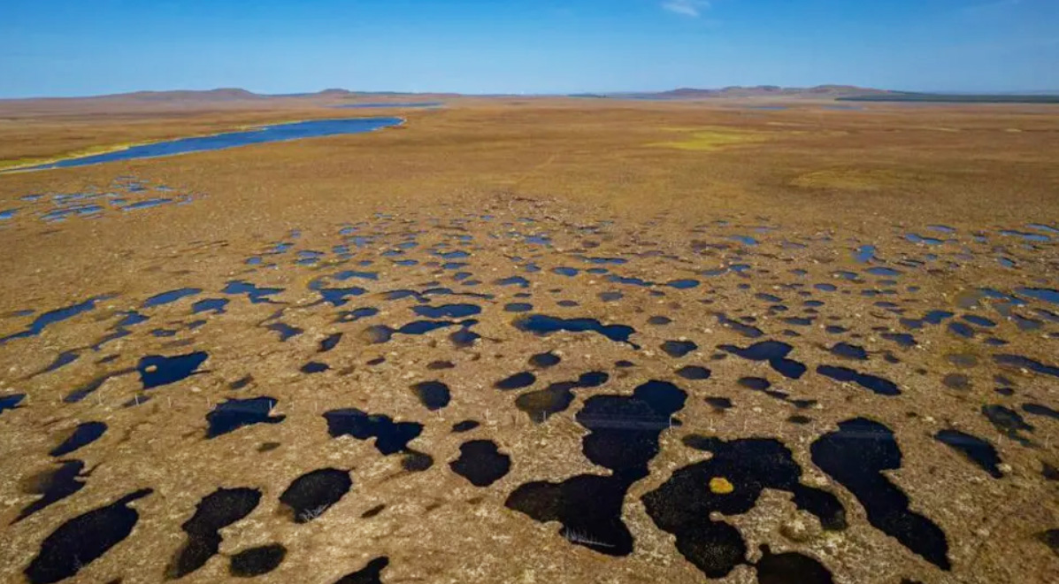 Flow Country gains World Heritage status - BirdGuides