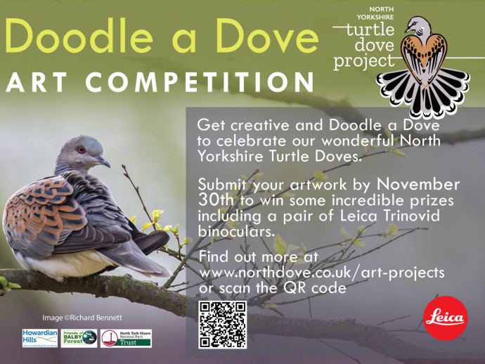Turtle dove charity launches 'Doodle a Dove' competition - BirdGuides
