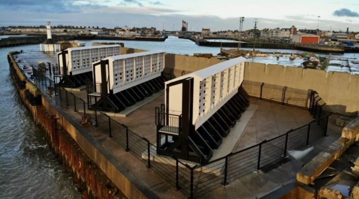 Kittiwake 'hotels' installed in Lowestoft - BirdGuides