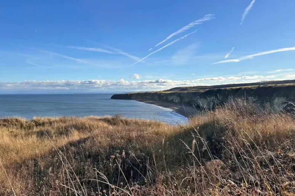 Durham coastal habitat to be restored - BirdGuides