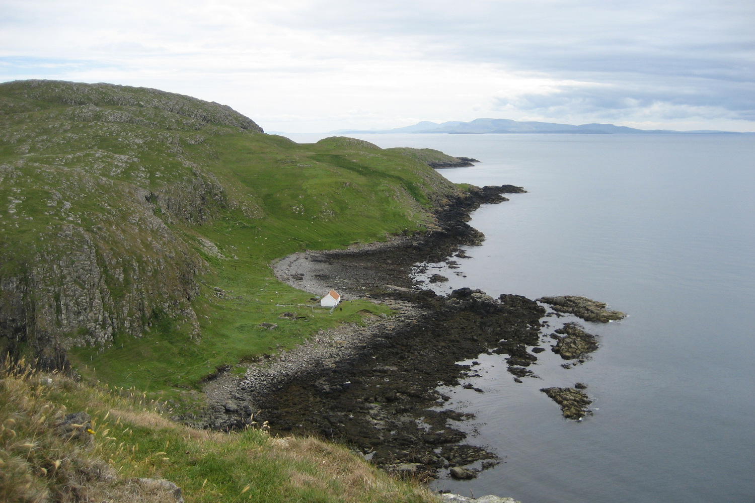 Shiants declared rat free - BirdGuides