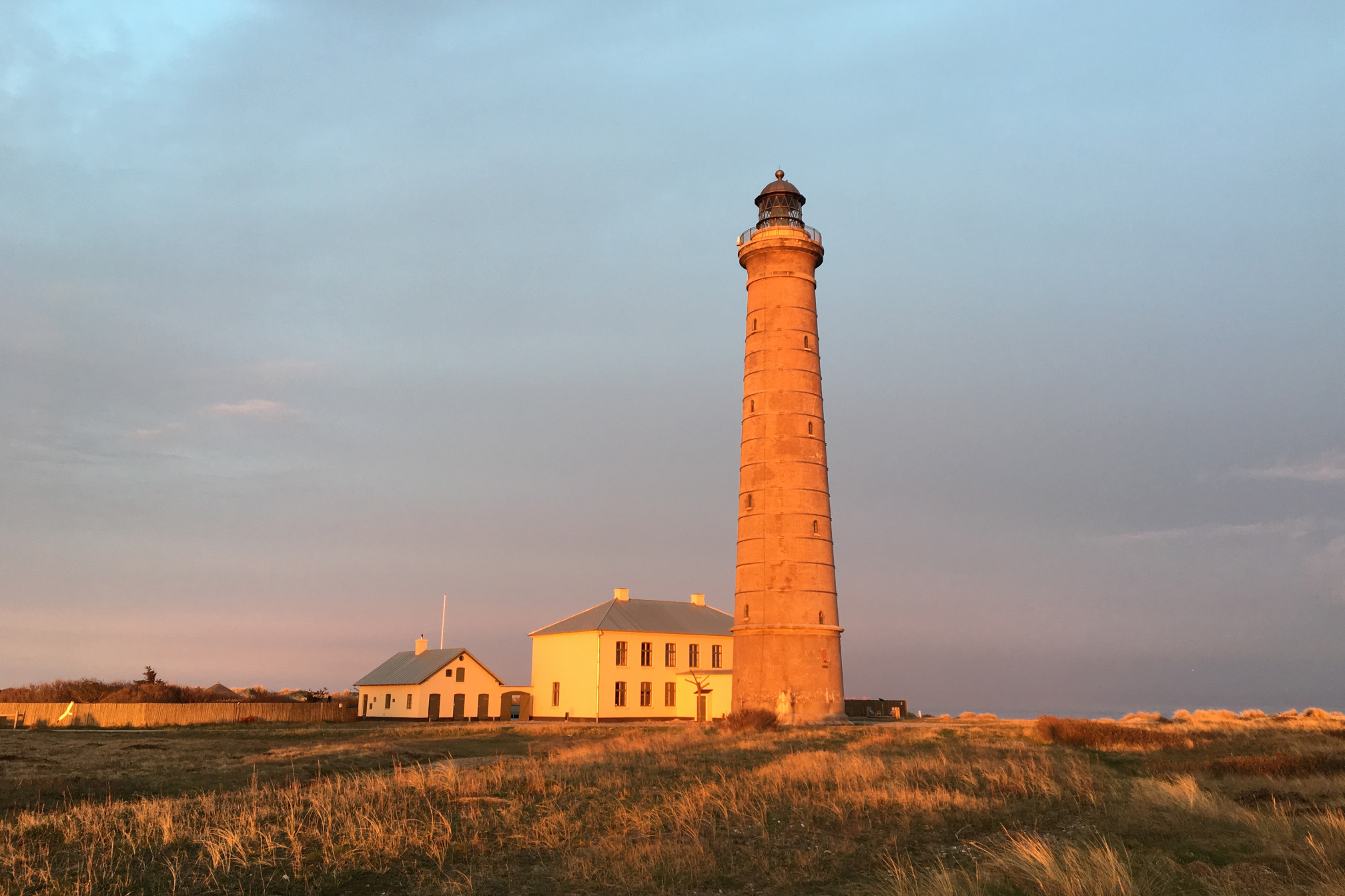 Volunteers sought at Denmark's top bird observatory - BirdGuides