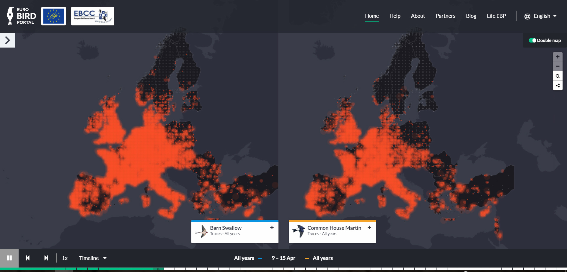 Animated maps show bird migration as never before - BirdGuides