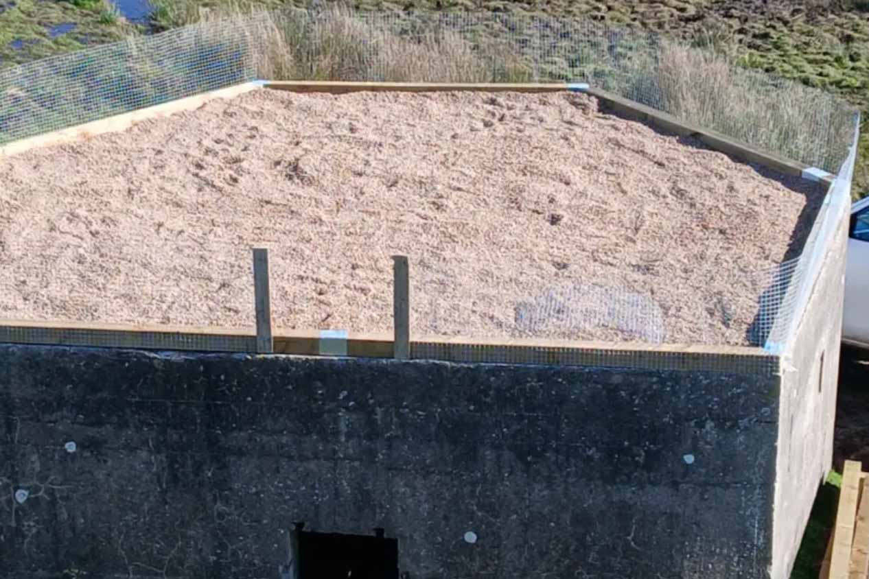 Wartime structures repurposed to boost breeding terns in Aberdeenshire ...