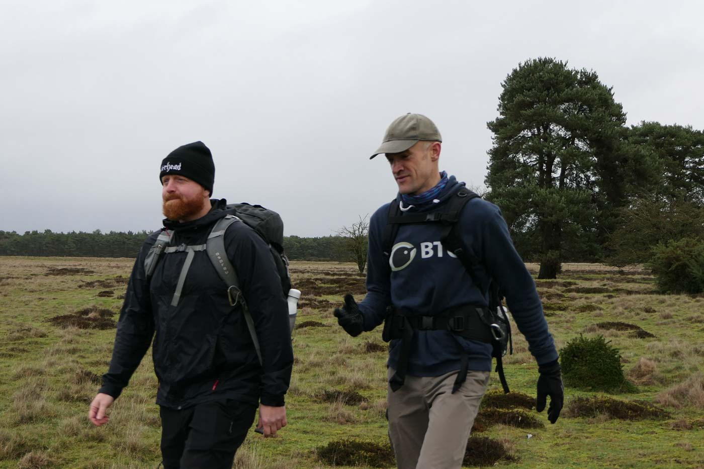 Sponsored walk to 'tern the tide' on bird flu - BirdGuides