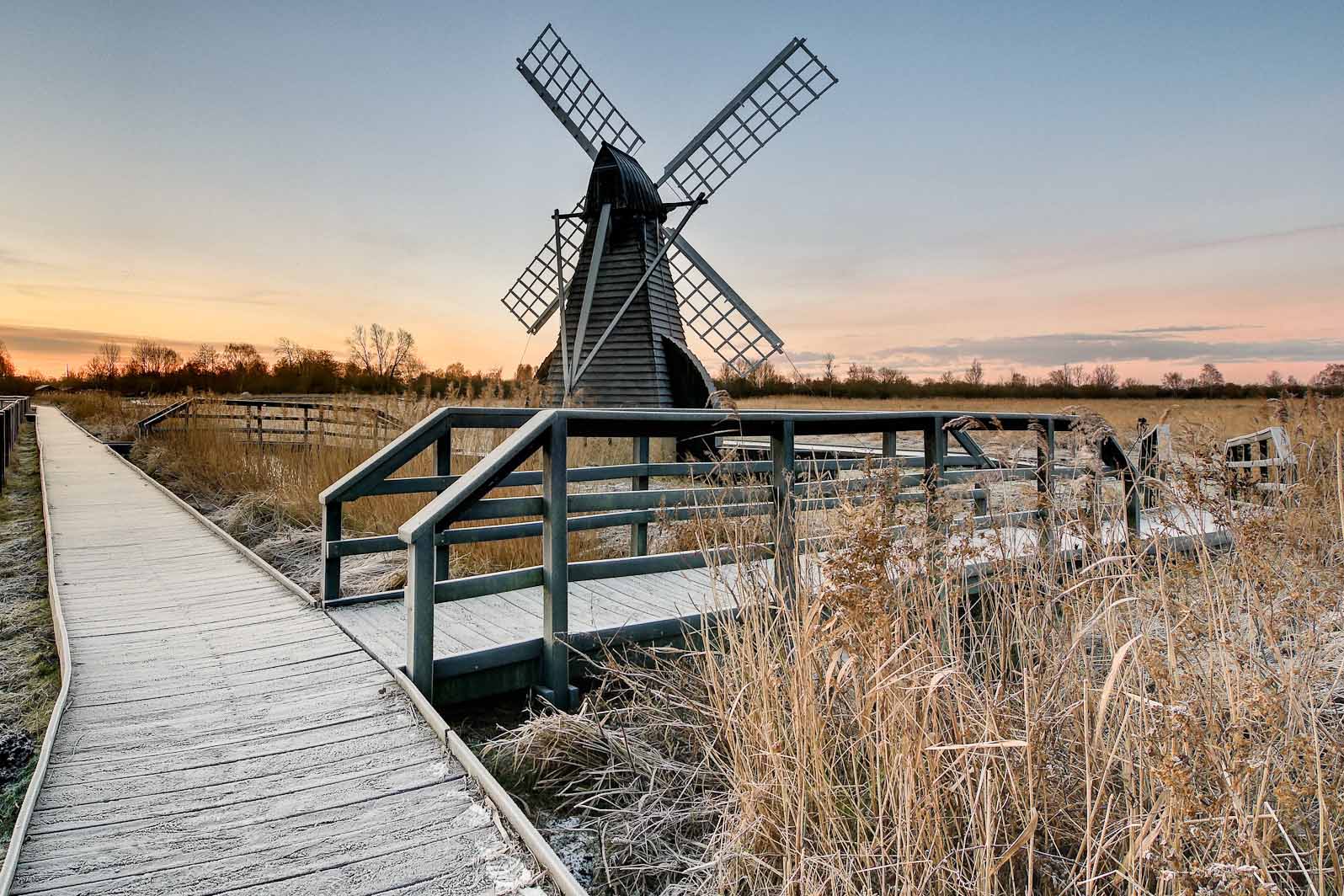 Wicken Fen celebrates 125 years with major peat restoration scheme ...