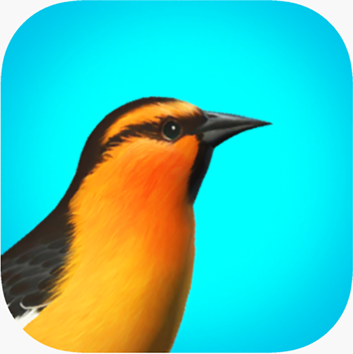 World of Wings app for iOS and Android - BirdGuides