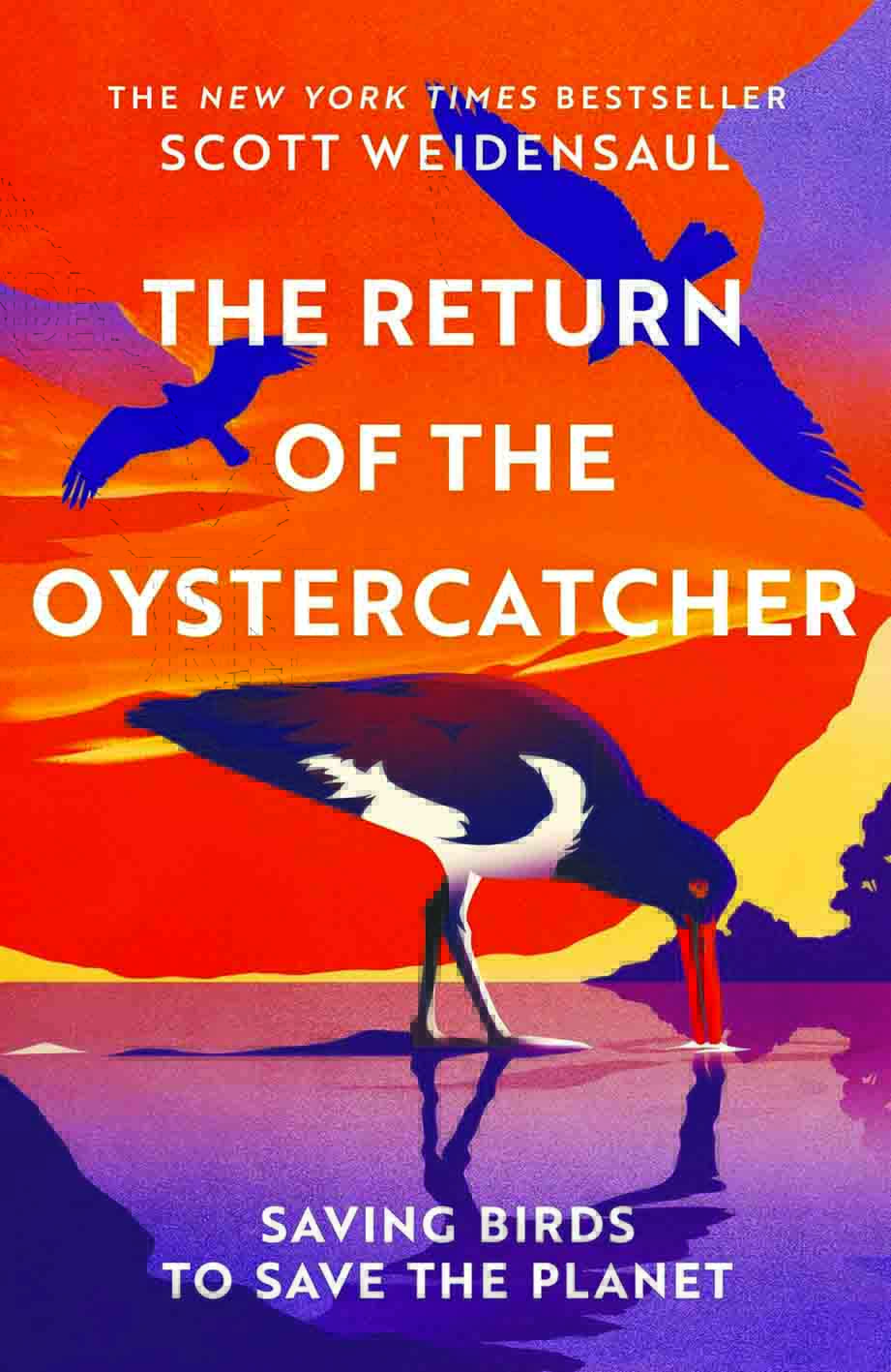 The Return of the Oystercatcher: Saving Birds to Save the Planet ...