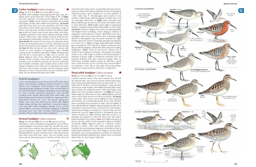 The Australian Bird Guide - BirdGuides