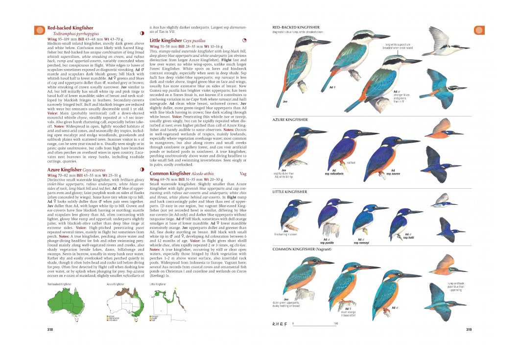 The Australian Bird Guide - BirdGuides