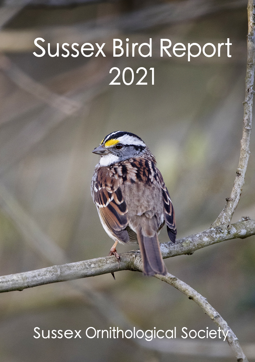 2021 Sussex Bird Report - BirdGuides