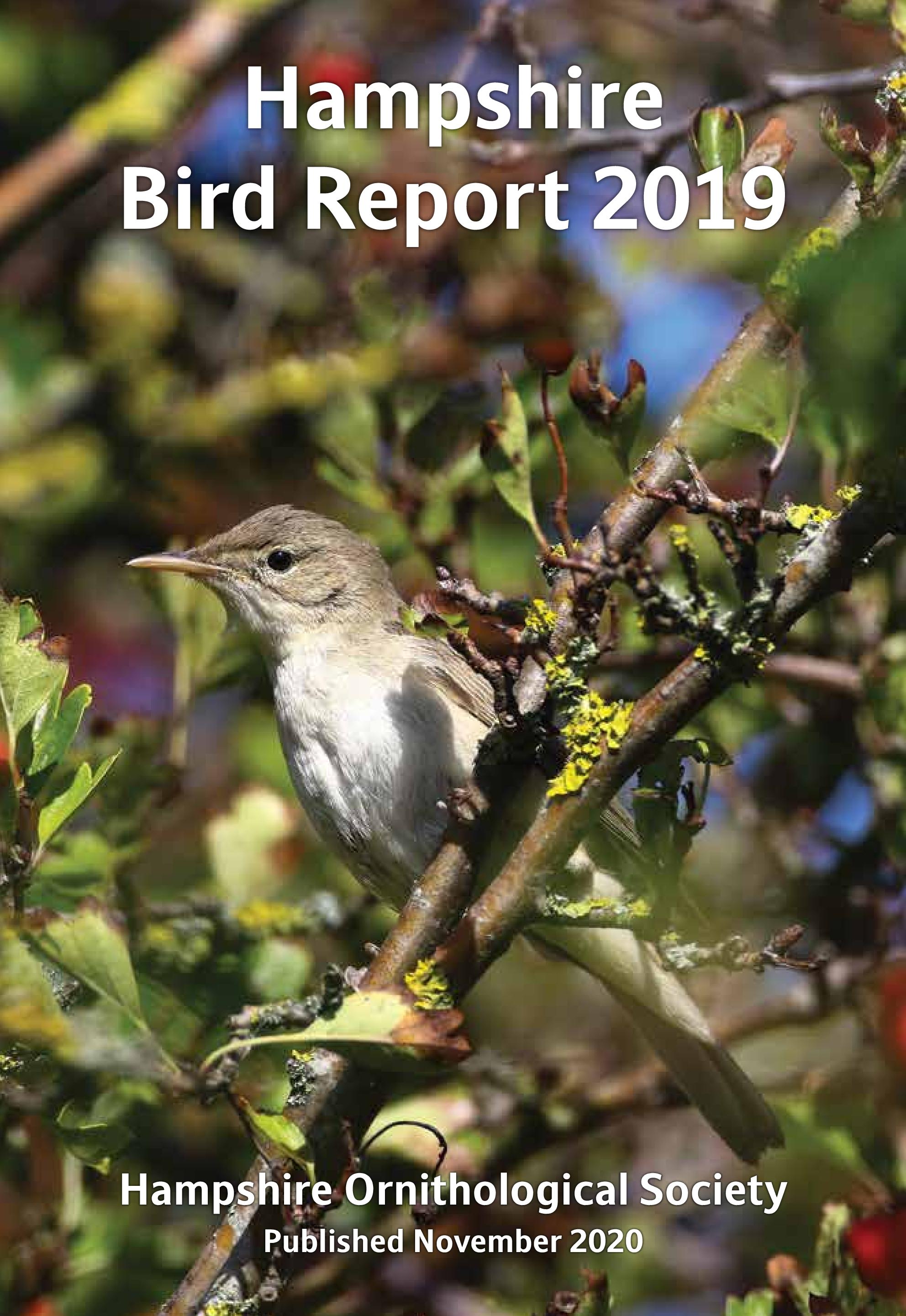 Hampshire Bird Report 2019 - BirdGuides