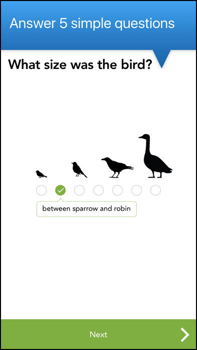 Merlin Bird ID app - BirdGuides