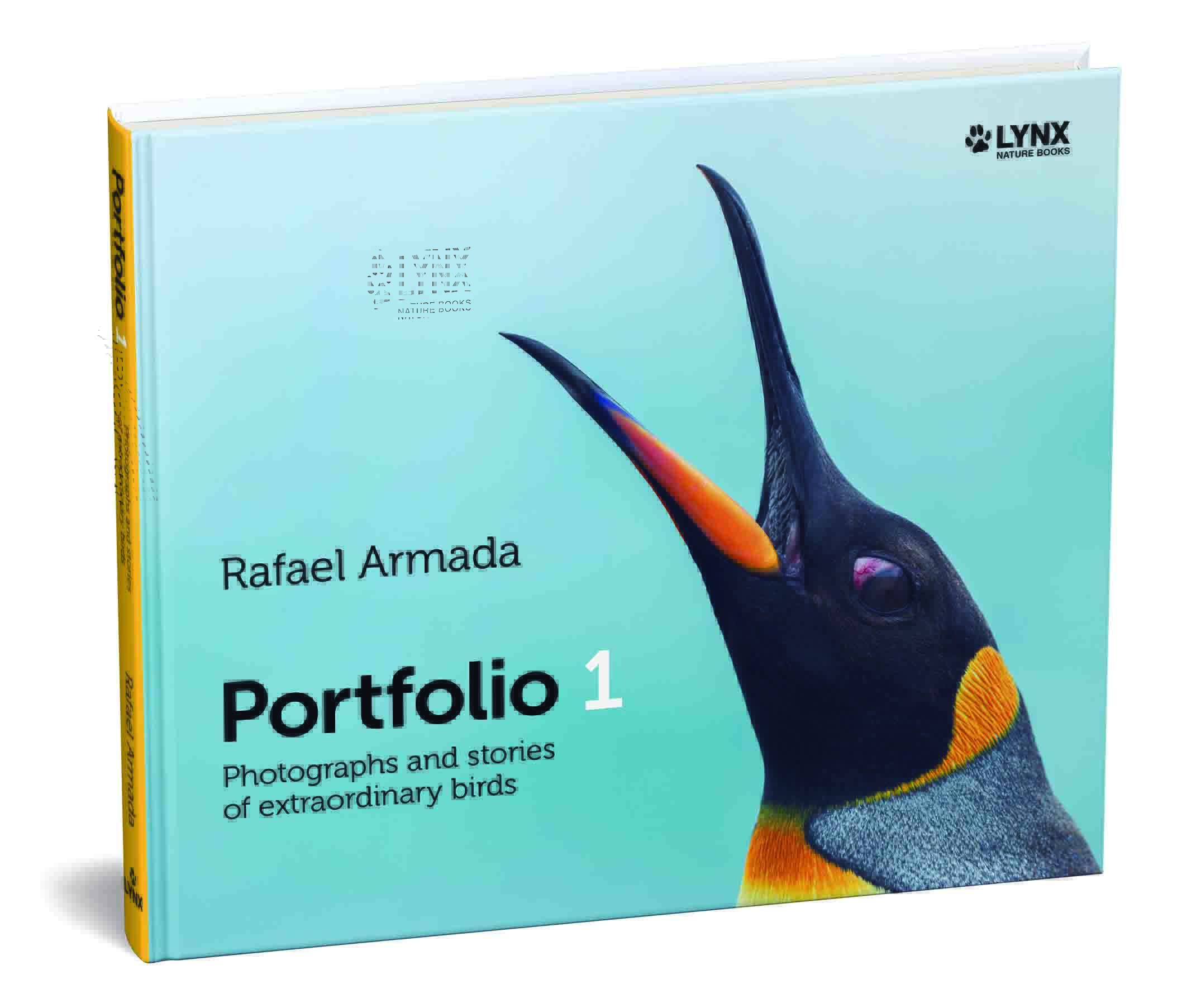 Portfolio 1: Photographs and stories of extraordinary birds - BirdGuides