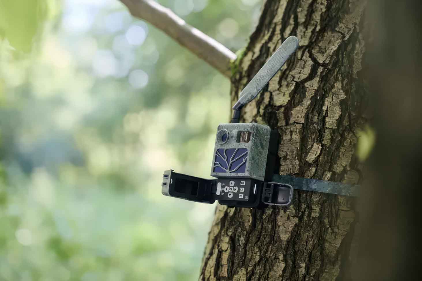 ZEISS Secacam 3 trail camera - BirdGuides