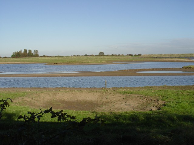 Freiston Shore RSPB Birdwatching Site - BirdGuides