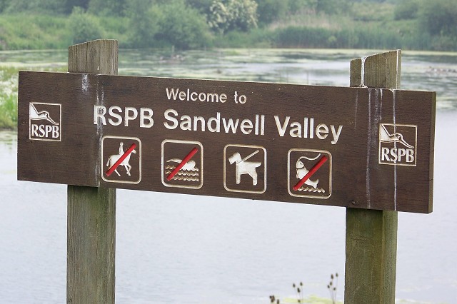 Sandwell Valley RSPB Birdwatching Site - BirdGuides