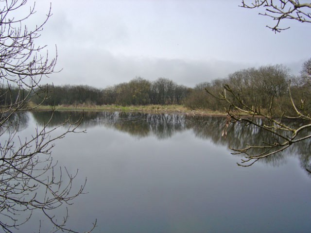 Tamar Lakes Birdwatching Site - BirdGuides