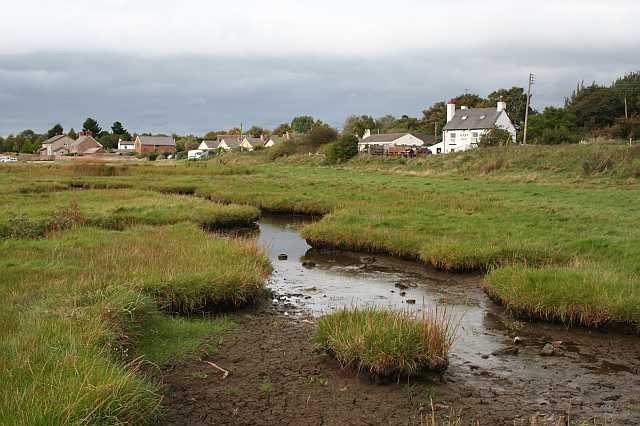 Little Neston Birdwatching Site - BirdGuides