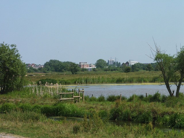 Doxey Marshes Birdwatching Site - BirdGuides