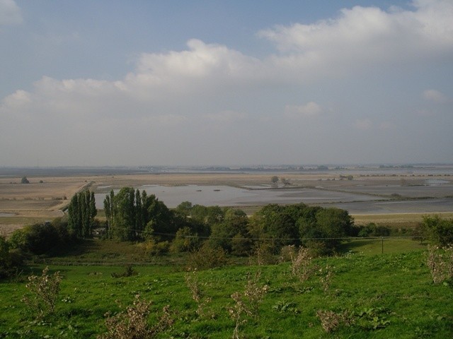 Alkborough Flats Birdwatching Site - BirdGuides