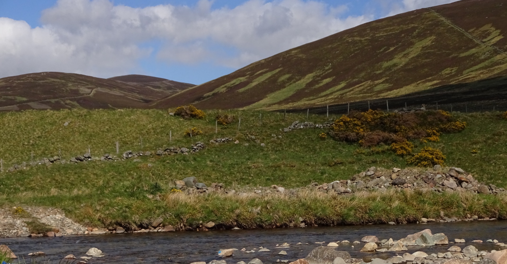 Glen Isla Birdwatching Site - BirdGuides