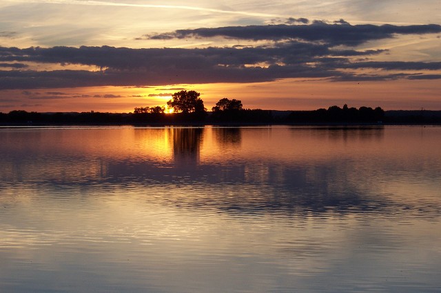 Farmoor Reservoir Birdwatching Site - BirdGuides
