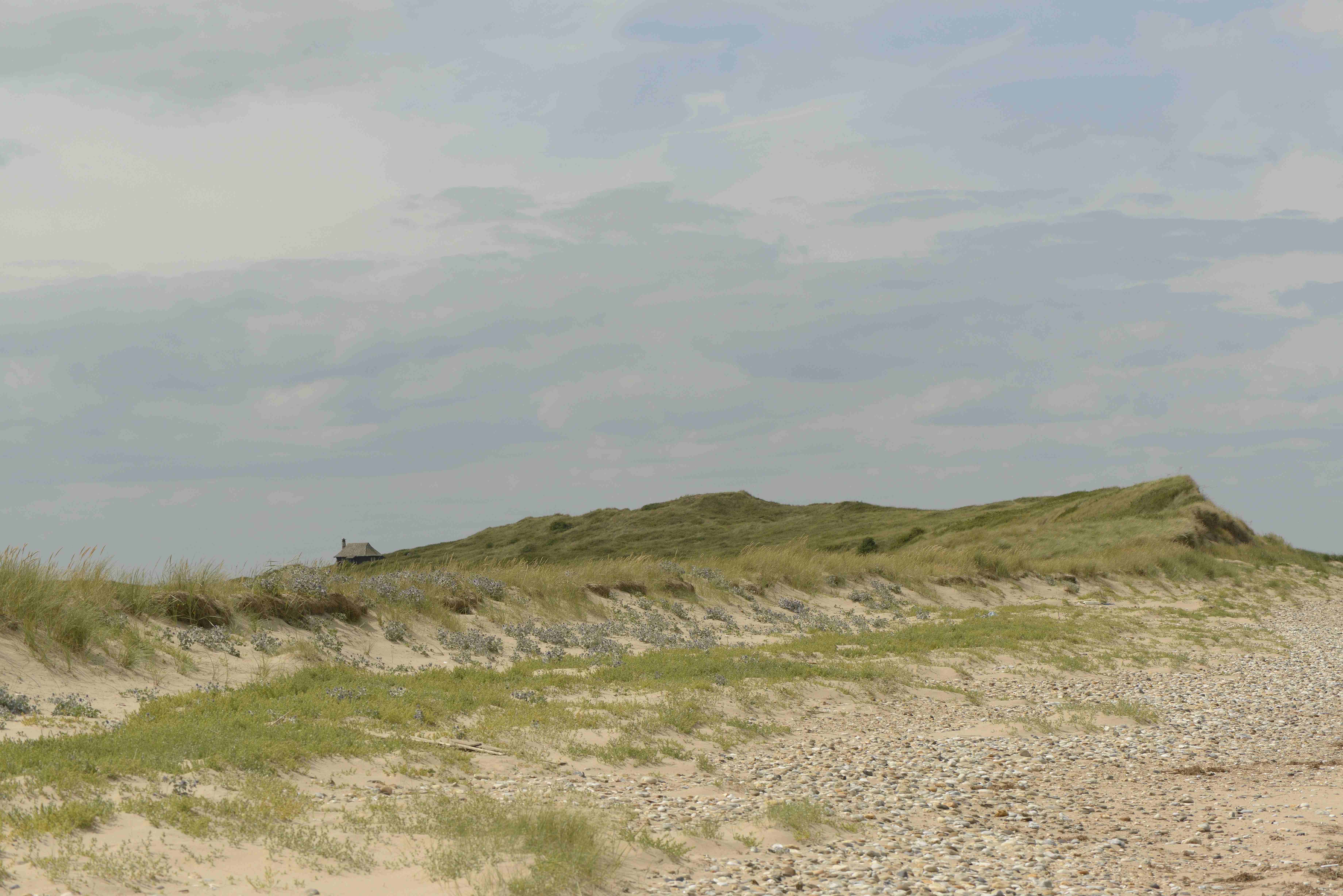 Scolt Head Island Birdwatching Site - BirdGuides