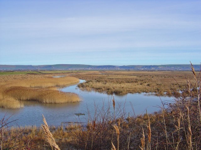 Horsey Island Birdwatching Site - BirdGuides