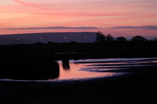 Lodmoor RSPB Birdwatching Site - BirdGuides