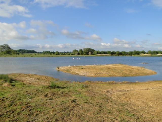 Standlake Birdwatching Site - BirdGuides