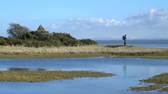 Grune Point Birdwatching Site - BirdGuides