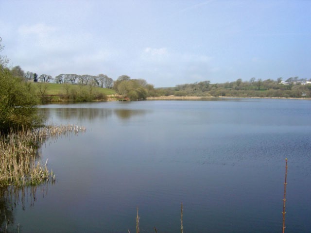 Tamar Lakes Birdwatching Site - BirdGuides
