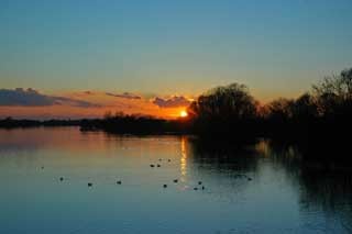 Abberton Reservoir Birdwatching Site - BirdGuides