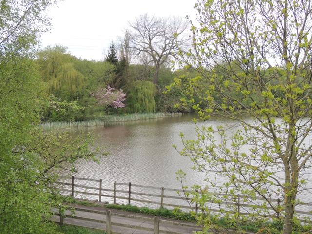 Loscoe Dam Birdwatching Site - BirdGuides
