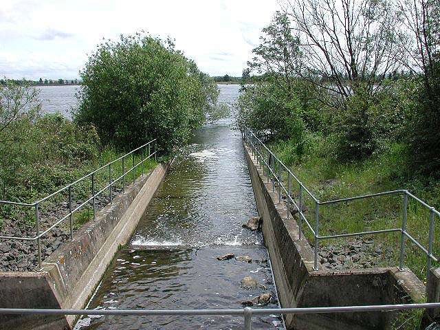 Draycote Water Birdwatching Site - BirdGuides