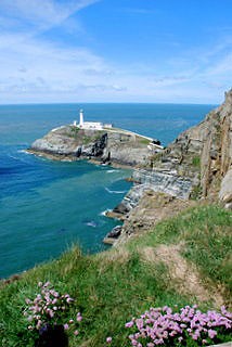 South Stack RSPB Birdwatching Site - BirdGuides