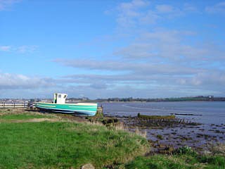 Exe Estuary Birdwatching Site - BirdGuides