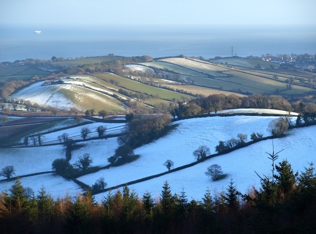 Mamhead Birdwatching Site - BirdGuides