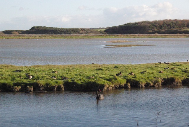 Cley Marshes NWT Birdwatching Site - BirdGuides